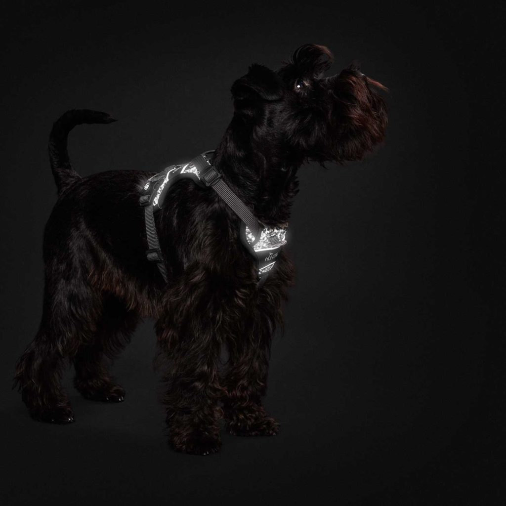 Arnes para Perro Divo Reflect – Hunter
