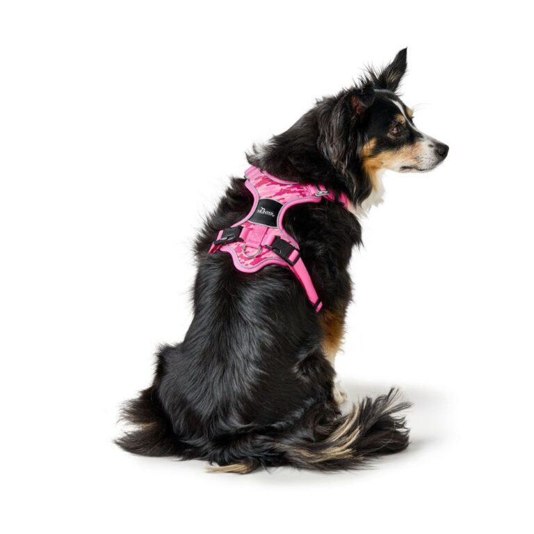 Arnés para Perro Divo Camouflage – Hunter